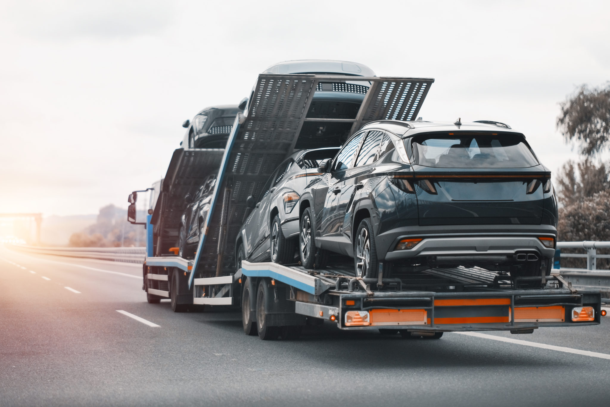 6 Benefits of Car Shipping for Snowbirds | Sakaem Logistics Blog
